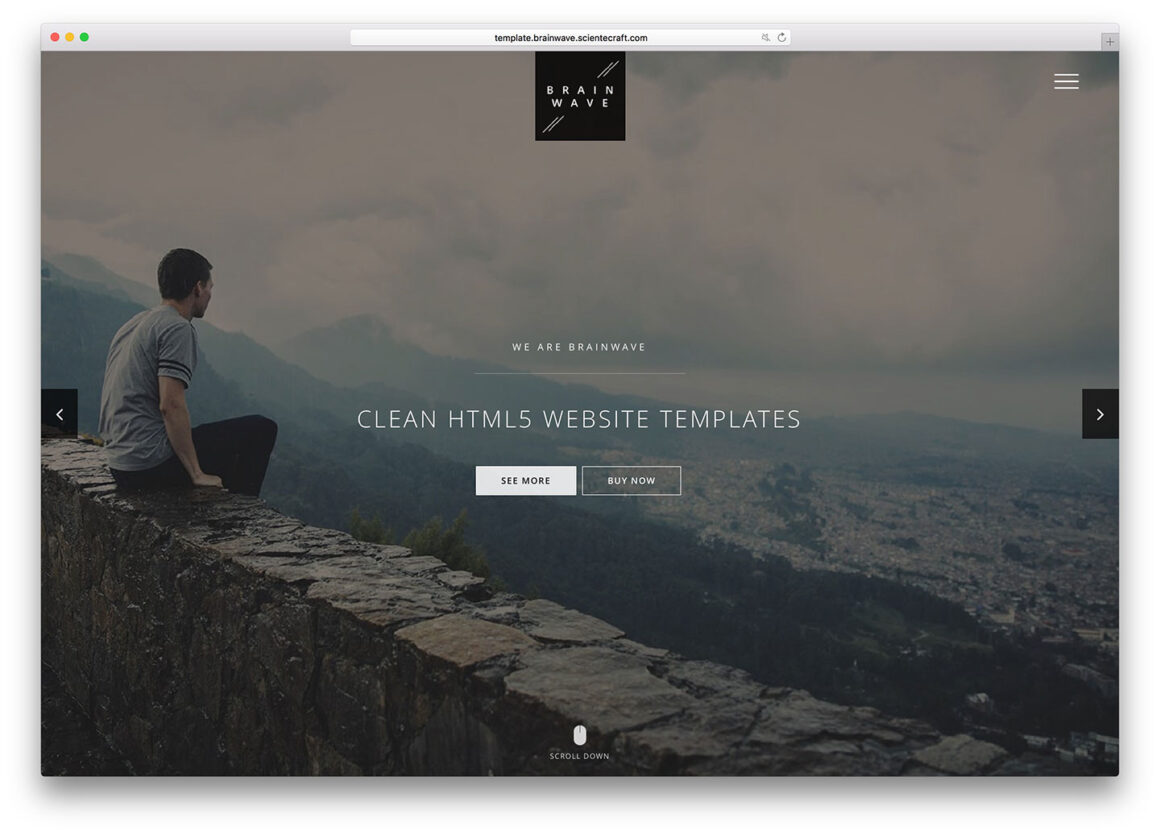 21 Best Clean HTML5/CSS3 Website Templates 2025